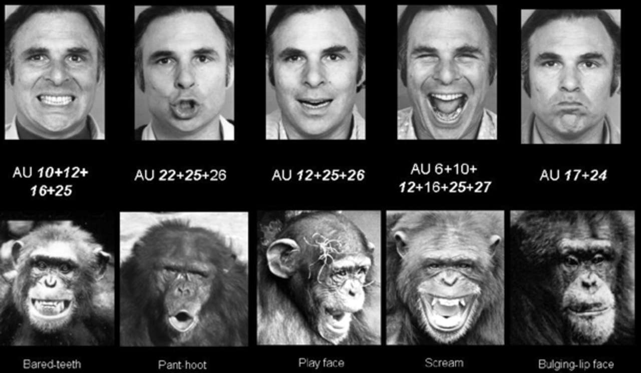 Human Lie Detector Paul Ekman Decodes The Faces Of Depression ...