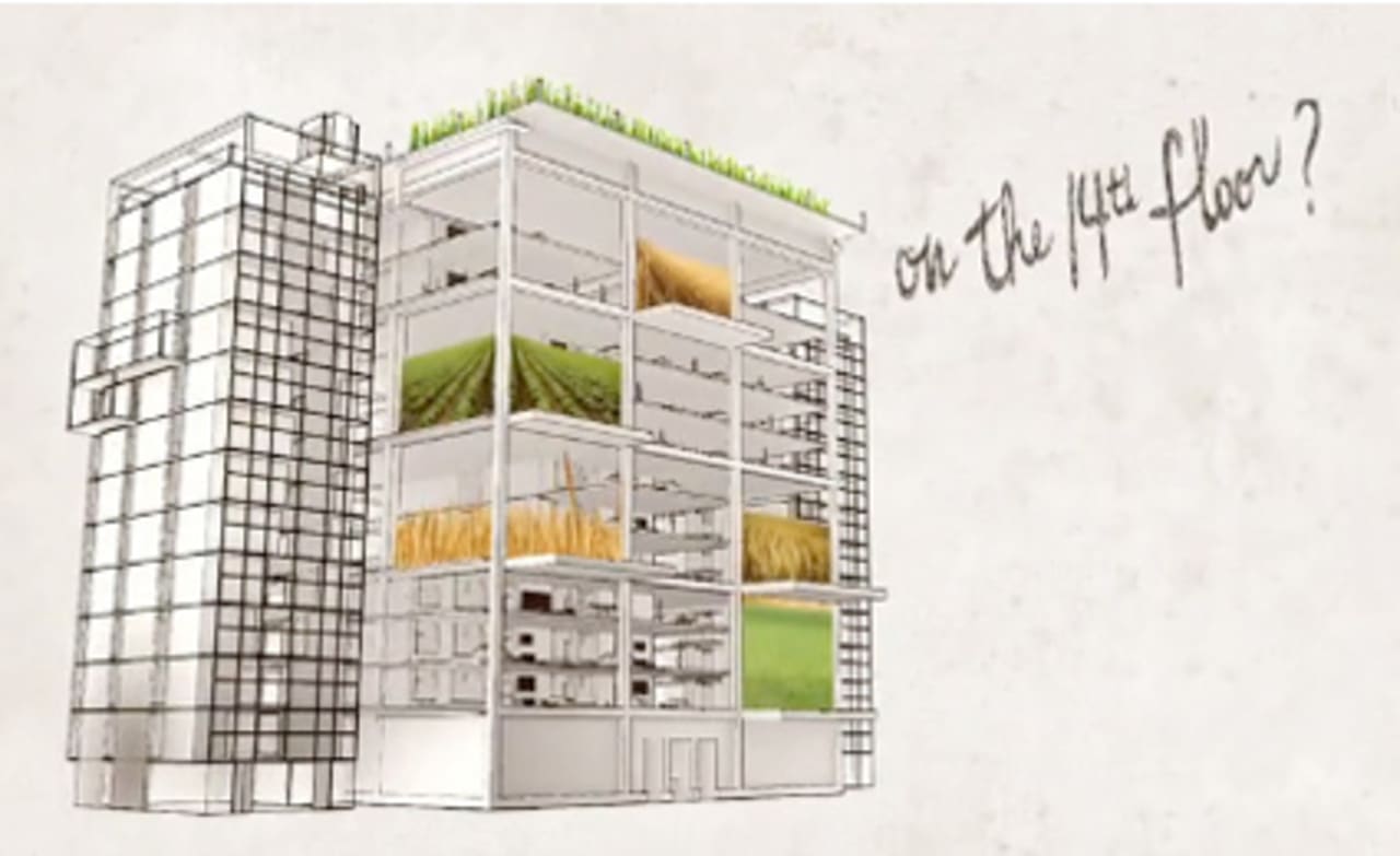 Living Climate Change: Design Thinking to Solve the World’s Biggest Problem