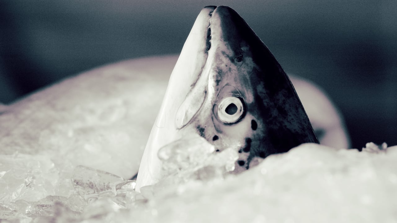 11 Distractingly Stinky, Productivity-Killing Lunches You Should Never ...