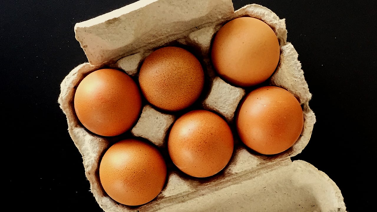 Japanese mutant chickens are laying eggs filled with ca | Fast Company
