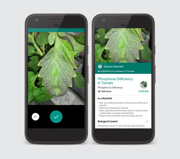 Plant Disease App Iphone Free Vernetta Fulmer